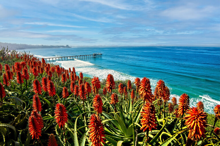 How to Exit My Timeshare